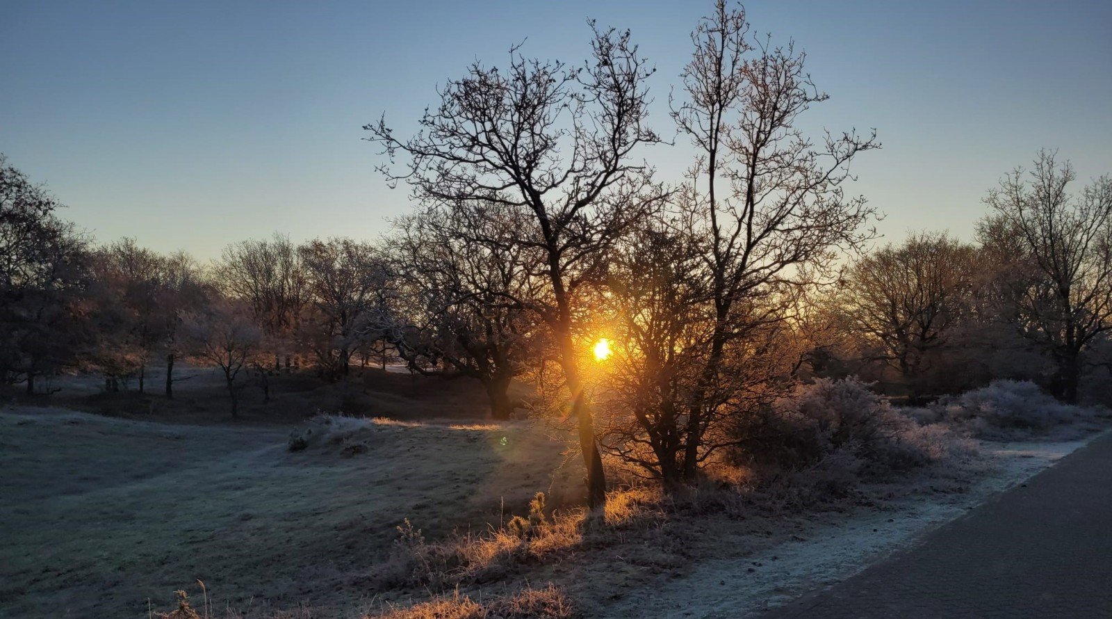 Autumn and Winter in Zuid-Kennemerland National Park: A Relaxed Discovery Tour - Alys Finest ...